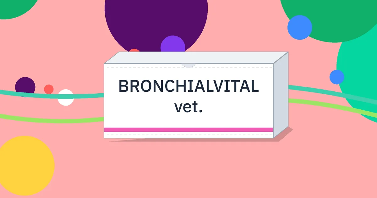 Symbolbild: Packung mit der Aufschrift BRONCHIALVITAL vet. (PZN 02487271) – Verfügbarkeit und Bezug in Apotheken in Frankfurt am Main