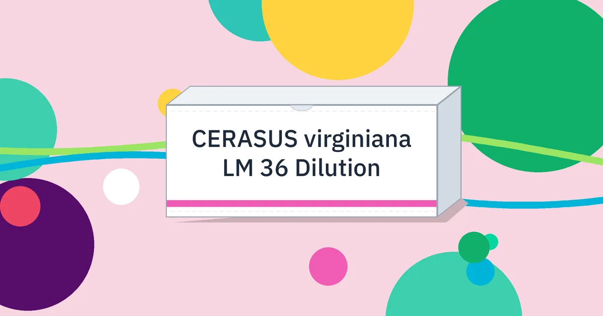 Symbolbild: Packung mit der Aufschrift CERASUS virginiana LM 36 Dilution (PZN 13436868) – Verfügbarkeit und Bezug in Apotheken in Frankfurt am Main