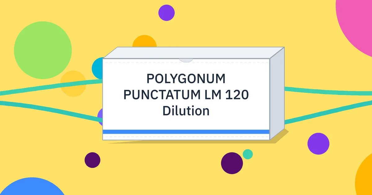 Symbolbild: Packung mit der Aufschrift POLYGONUM PUNCTATUM LM 120 Dilution (PZN 13663191) – Verfügbarkeit und Bezug in Apotheken in Frankfurt am Main