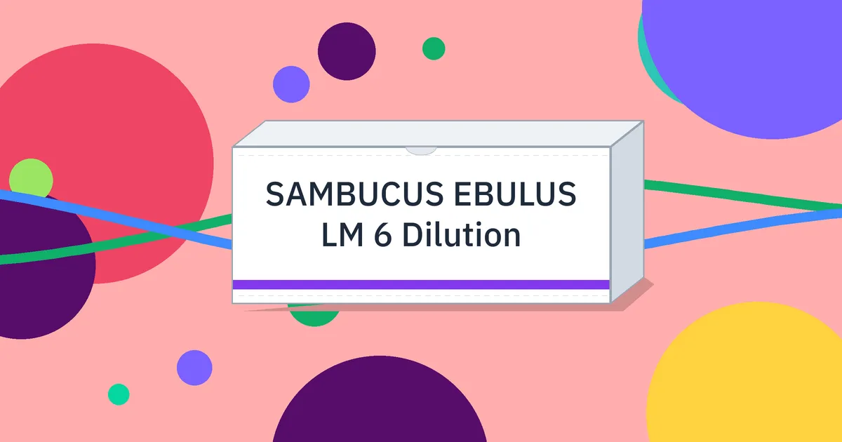Symbolbild: Packung mit der Aufschrift SAMBUCUS EBULUS LM 6 Dilution (PZN 13180340) – Verfügbarkeit und Bezug in Apotheken in Frankfurt am Main