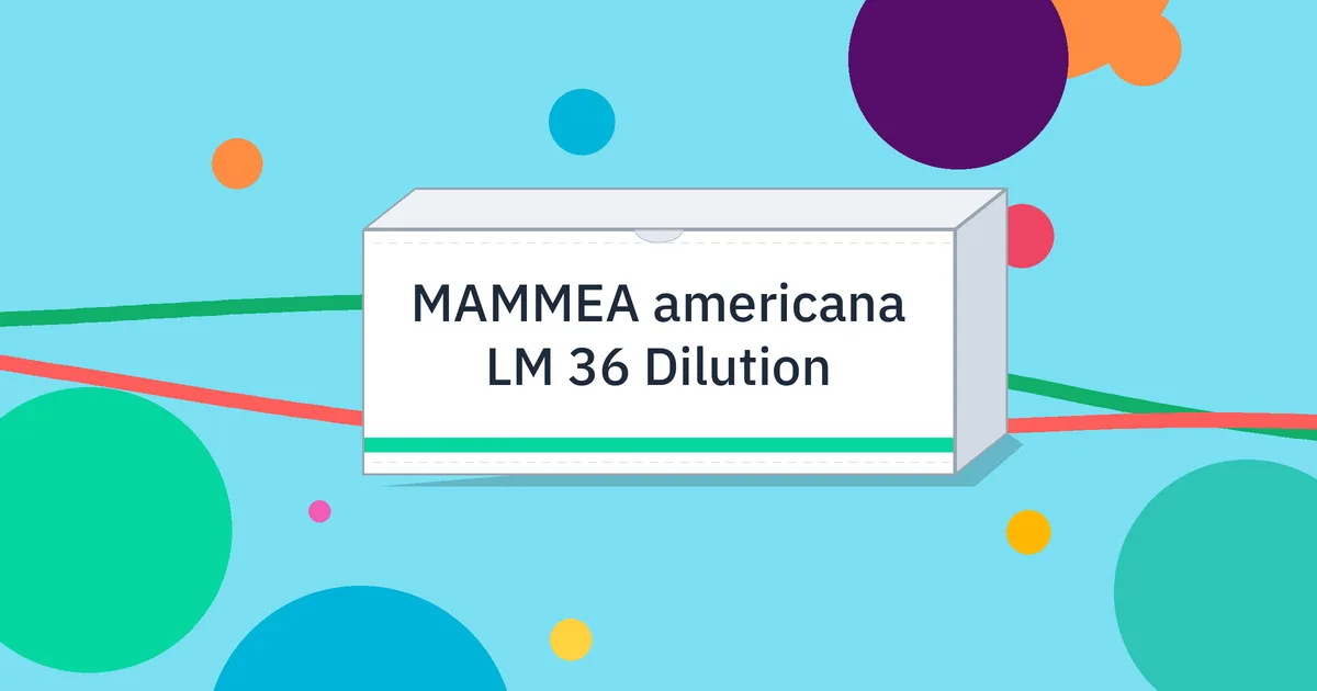 Symbolbild: Packung mit der Aufschrift MAMMEA americana LM 36 Dilution (PZN 13540577) – Verfügbarkeit und Bezug in Apotheken in Frankfurt am Main
