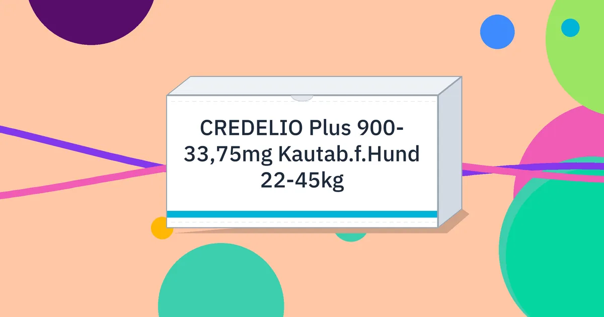 Symbolbild: Packung mit der Aufschrift CREDELIO Plus 900-33,75mg Kautab.f.Hund 22-45kg (PZN 17620586) – Verfügbarkeit und Bezug in Apotheken in Frankfurt am Main