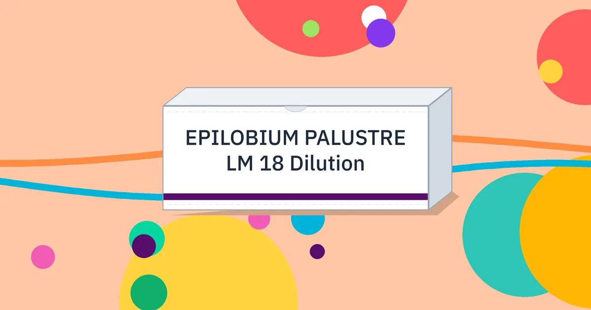 Symbolbild: Packung mit der Aufschrift EPILOBIUM PALUSTRE LM 18 Dilution (PZN 13472172) – Verfügbarkeit und Bezug in Apotheken in Frankfurt am Main