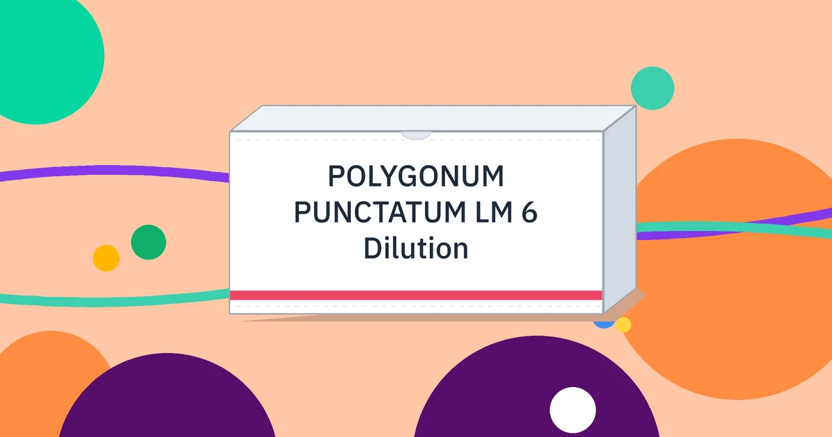 Symbolbild: Packung mit der Aufschrift POLYGONUM PUNCTATUM LM 6 Dilution (PZN 13662777) – Verfügbarkeit und Bezug in Apotheken in Frankfurt am Main