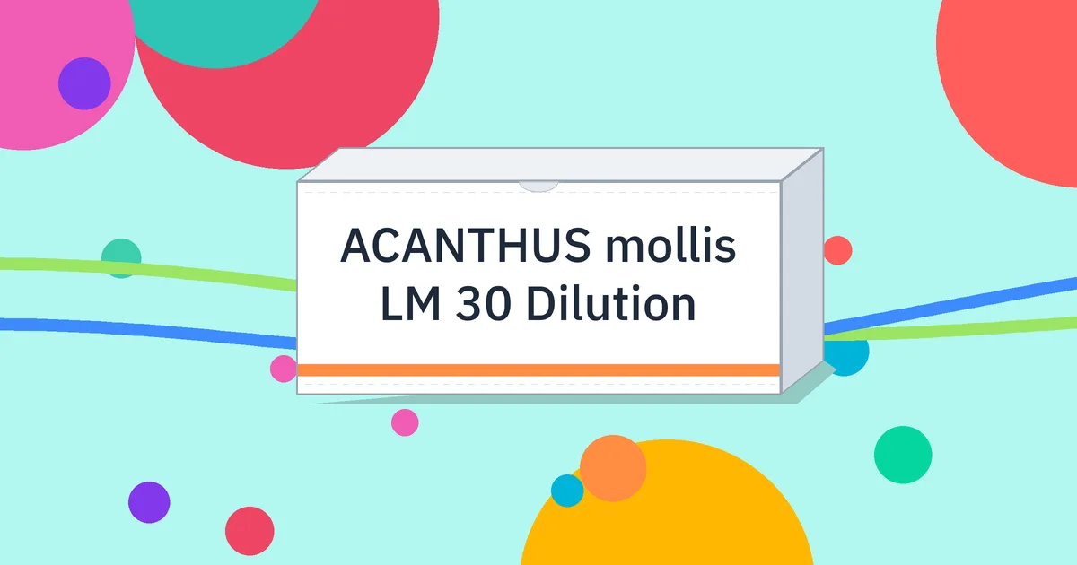 Symbolbild: Packung mit der Aufschrift ACANTHUS mollis LM 30 Dilution (PZN 13263646) – Verfügbarkeit und Bezug in Apotheken in Frankfurt am Main