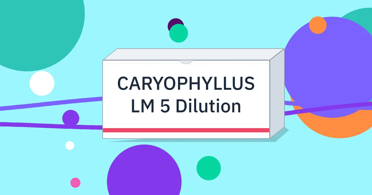 Symbolbild: Packung mit der Aufschrift CARYOPHYLLUS LM 5 Dilution (PZN 13431865) – Verfügbarkeit und Bezug in Apotheken in Frankfurt am Main