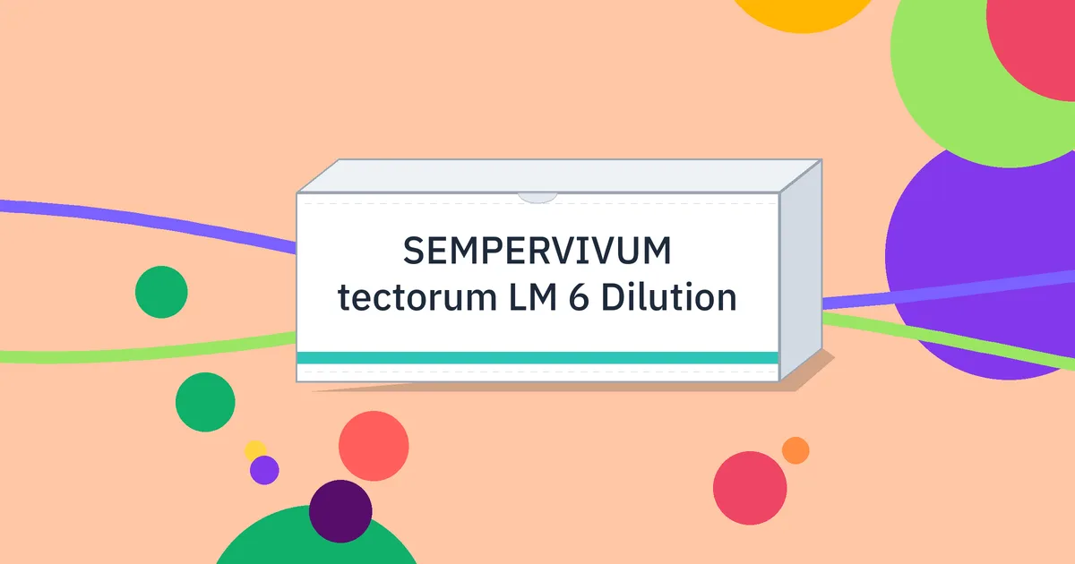Symbolbild: Packung mit der Aufschrift SEMPERVIVUM tectorum LM 6 Dilution (PZN 13186124) – Verfügbarkeit und Bezug in Apotheken in Frankfurt am Main