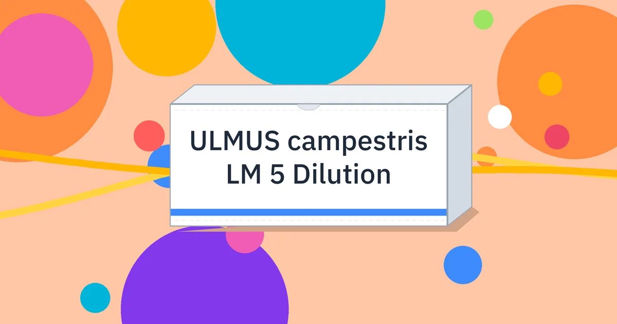 Symbolbild: Packung mit der Aufschrift ULMUS campestris LM 5 Dilution (PZN 13255210) – Verfügbarkeit und Bezug in Apotheken in Frankfurt am Main
