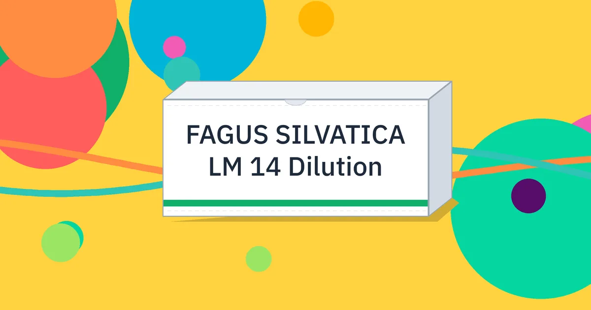 Symbolbild: Packung mit der Aufschrift FAGUS SILVATICA LM 14 Dilution (PZN 13486978) – Verfügbarkeit und Bezug in Apotheken in Frankfurt am Main