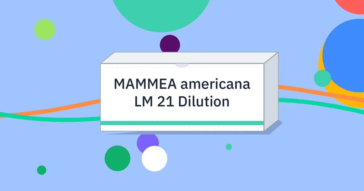 Symbolbild: Packung mit der Aufschrift MAMMEA americana LM 21 Dilution (PZN 13540442) – Verfügbarkeit und Bezug in Apotheken in Frankfurt am Main