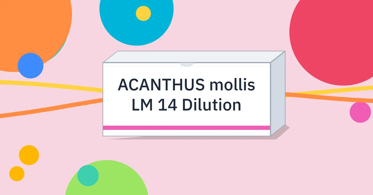 Symbolbild: Packung mit der Aufschrift ACANTHUS mollis LM 14 Dilution (PZN 13263296) – Verfügbarkeit und Bezug in Apotheken in Frankfurt am Main