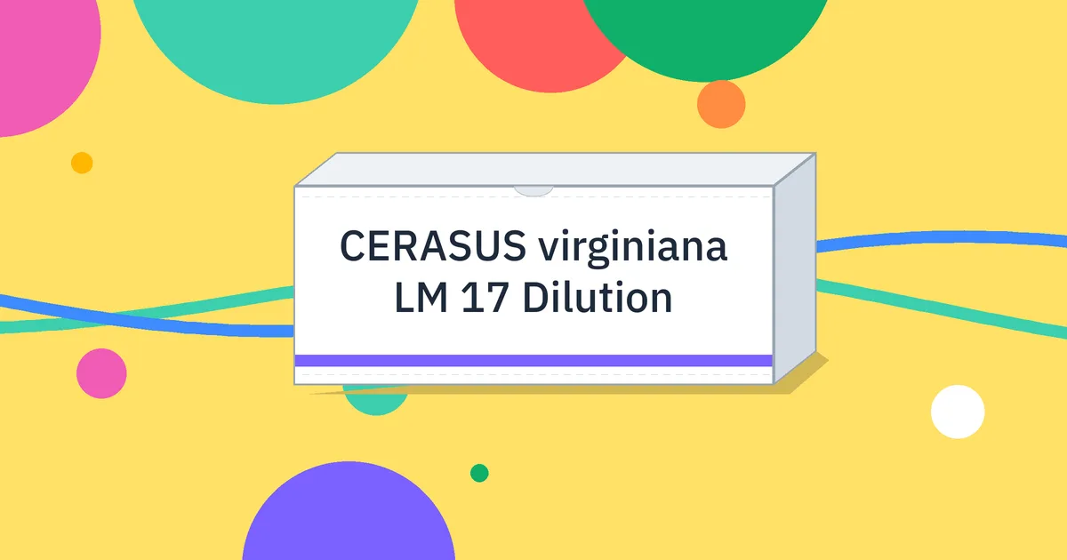 Symbolbild: Packung mit der Aufschrift CERASUS virginiana LM 17 Dilution (PZN 13436696) – Verfügbarkeit und Bezug in Apotheken in Frankfurt am Main