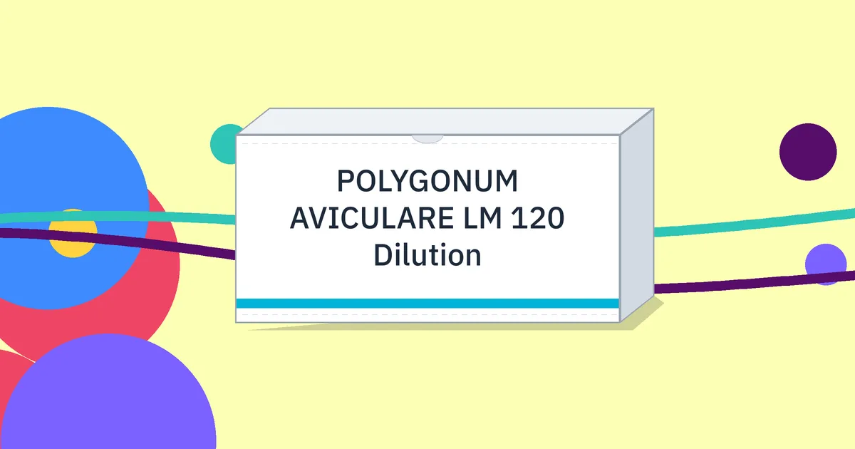 Symbolbild: Packung mit der Aufschrift POLYGONUM AVICULARE LM 120 Dilution (PZN 13662263) – Verfügbarkeit und Bezug in Apotheken in Frankfurt am Main