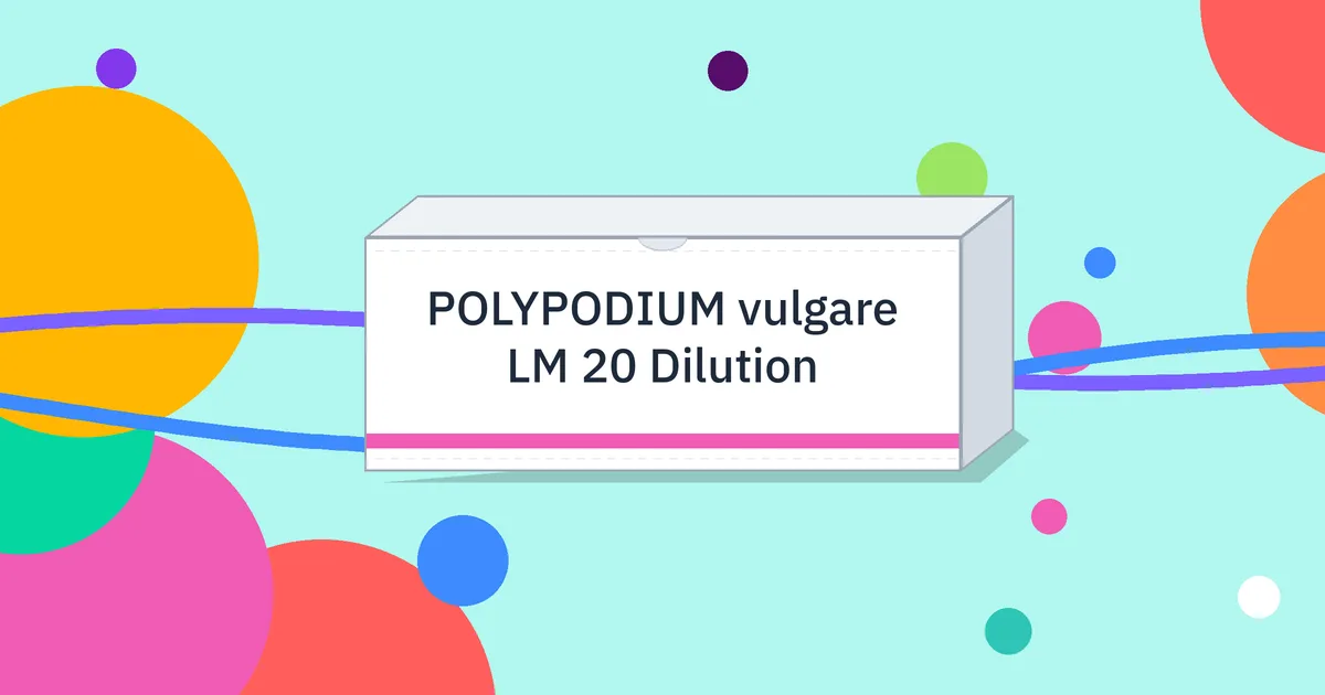 Symbolbild: Packung mit der Aufschrift POLYPODIUM vulgare LM 20 Dilution (PZN 13663423) – Verfügbarkeit und Bezug in Apotheken in Frankfurt am Main