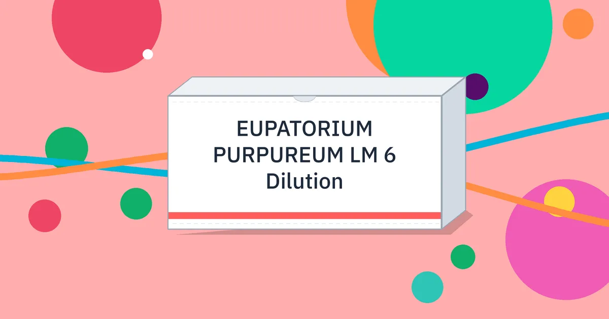 Symbolbild: Packung mit der Aufschrift EUPATORIUM PURPUREUM LM 6 Dilution (PZN 13481314) – Verfügbarkeit und Bezug in Apotheken in Frankfurt am Main