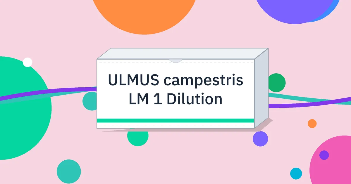 Symbolbild: Packung mit der Aufschrift ULMUS campestris LM 1 Dilution (PZN 13255150) – Verfügbarkeit und Bezug in Apotheken in Frankfurt am Main