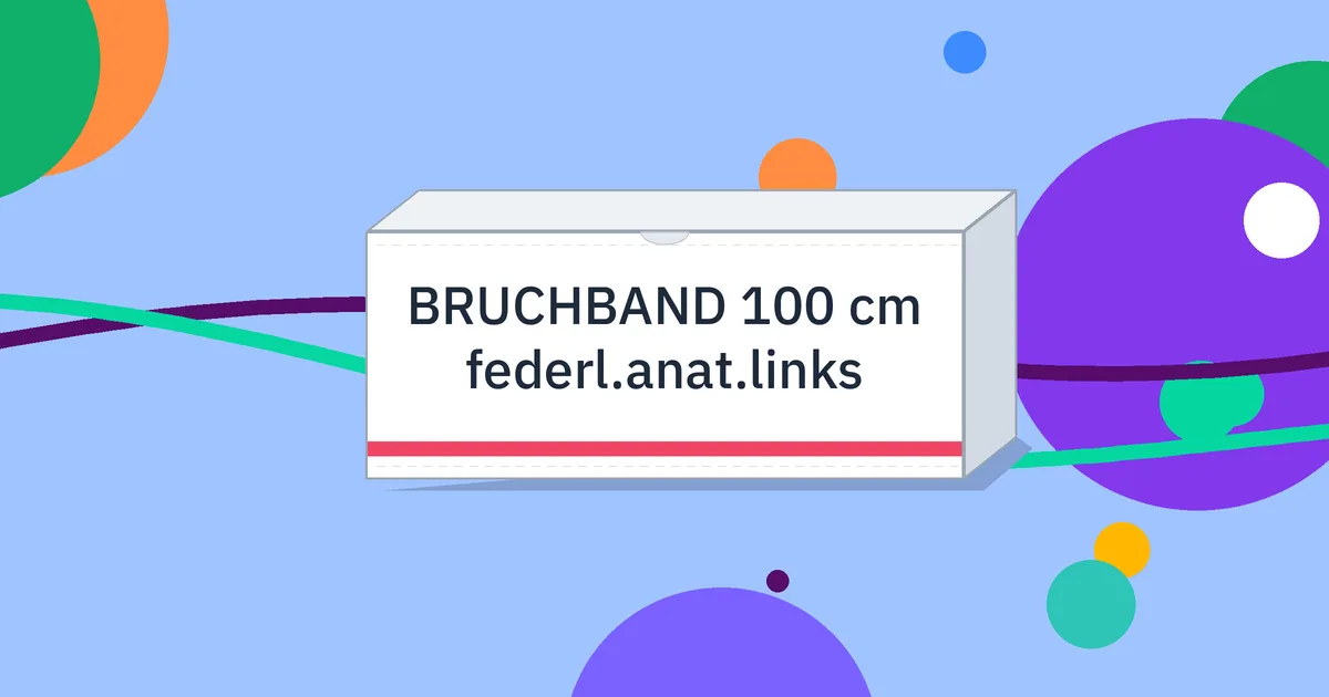 Symbolbild: Packung mit der Aufschrift BRUCHBAND 100 cm federl.anat.links (PZN 01961701) – Verfügbarkeit und Bezug in Apotheken in Frankfurt am Main