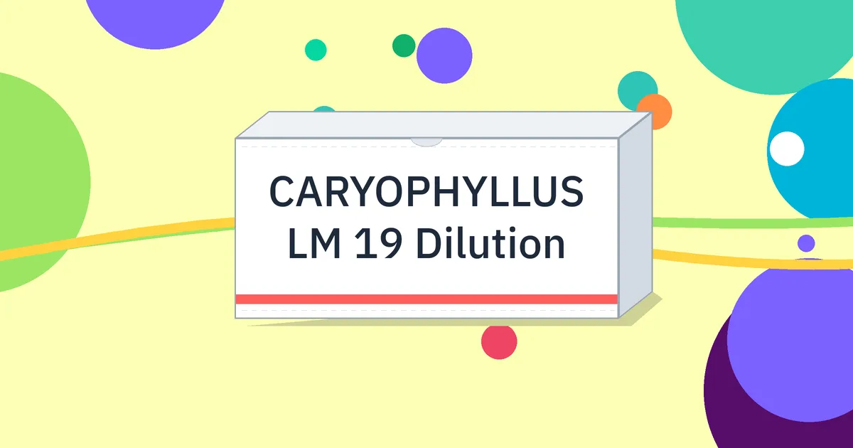 Symbolbild: Packung mit der Aufschrift CARYOPHYLLUS LM 19 Dilution (PZN 13432020) – Verfügbarkeit und Bezug in Apotheken in Frankfurt am Main