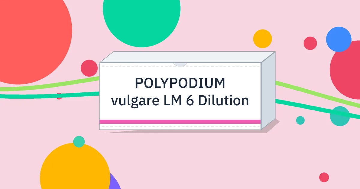 Symbolbild: Packung mit der Aufschrift POLYPODIUM vulgare LM 6 Dilution (PZN 13663274) – Verfügbarkeit und Bezug in Apotheken in Frankfurt am Main