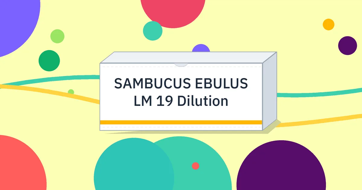 Symbolbild: Packung mit der Aufschrift SAMBUCUS EBULUS LM 19 Dilution (PZN 13180512) – Verfügbarkeit und Bezug in Apotheken in Frankfurt am Main