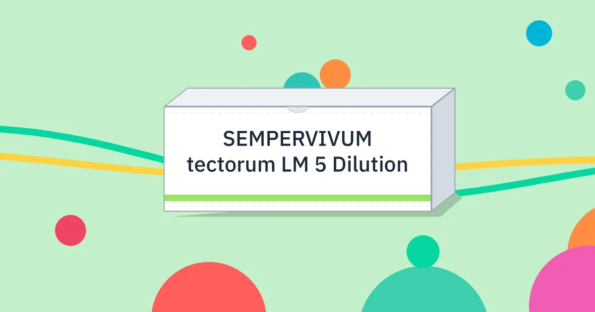Symbolbild: Packung mit der Aufschrift SEMPERVIVUM tectorum LM 5 Dilution (PZN 13186118) – Verfügbarkeit und Bezug in Apotheken in Frankfurt am Main
