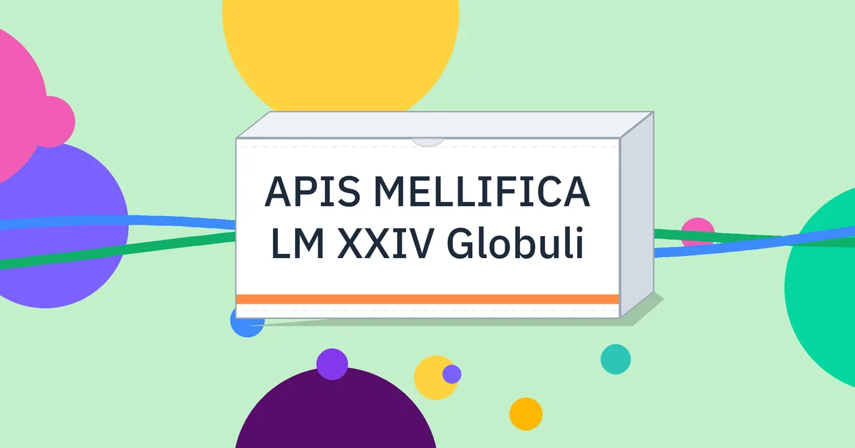 Symbolbild: Packung mit der Aufschrift APIS MELLIFICA LM XXIV Globuli (PZN 02676687) – Verfügbarkeit und Bezug in Apotheken in Frankfurt am Main