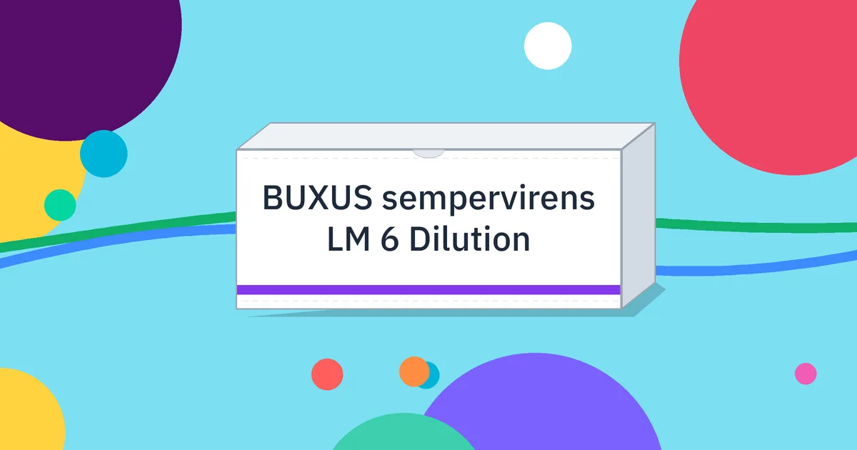 Symbolbild: Packung mit der Aufschrift BUXUS sempervirens LM 6 Dilution (PZN 13399050) – Verfügbarkeit und Bezug in Apotheken in Frankfurt am Main
