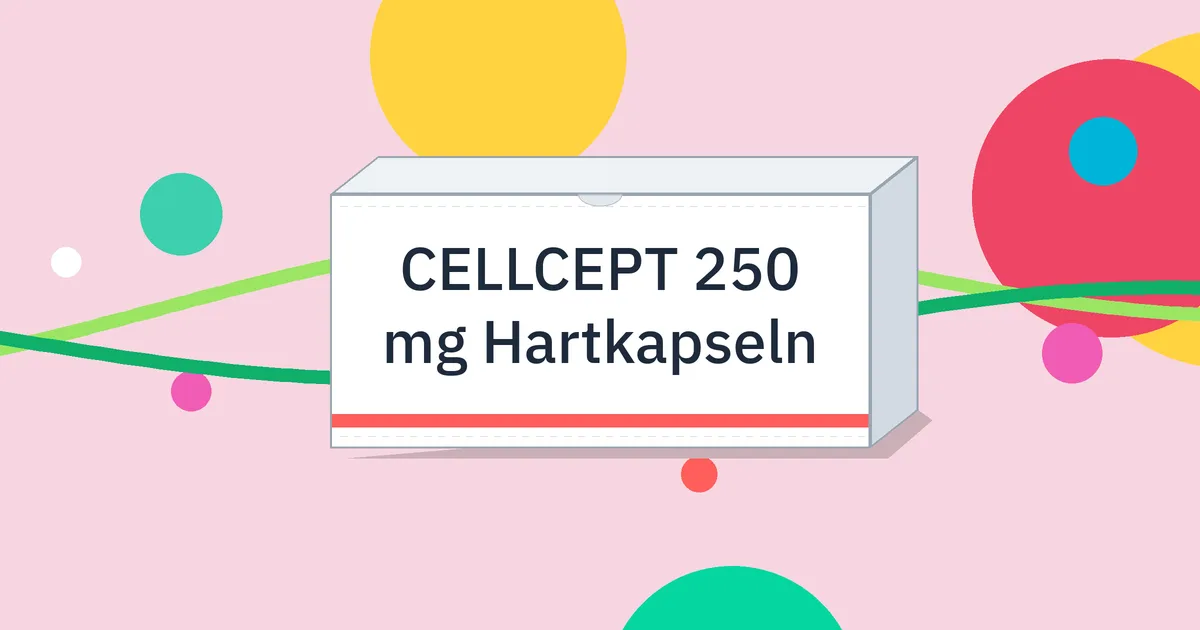 Symbolbild: Packung mit der Aufschrift CELLCEPT 250 mg Hartkapseln (PZN 09505730) – Verfügbarkeit und Bezug in Apotheken in Frankfurt am Main