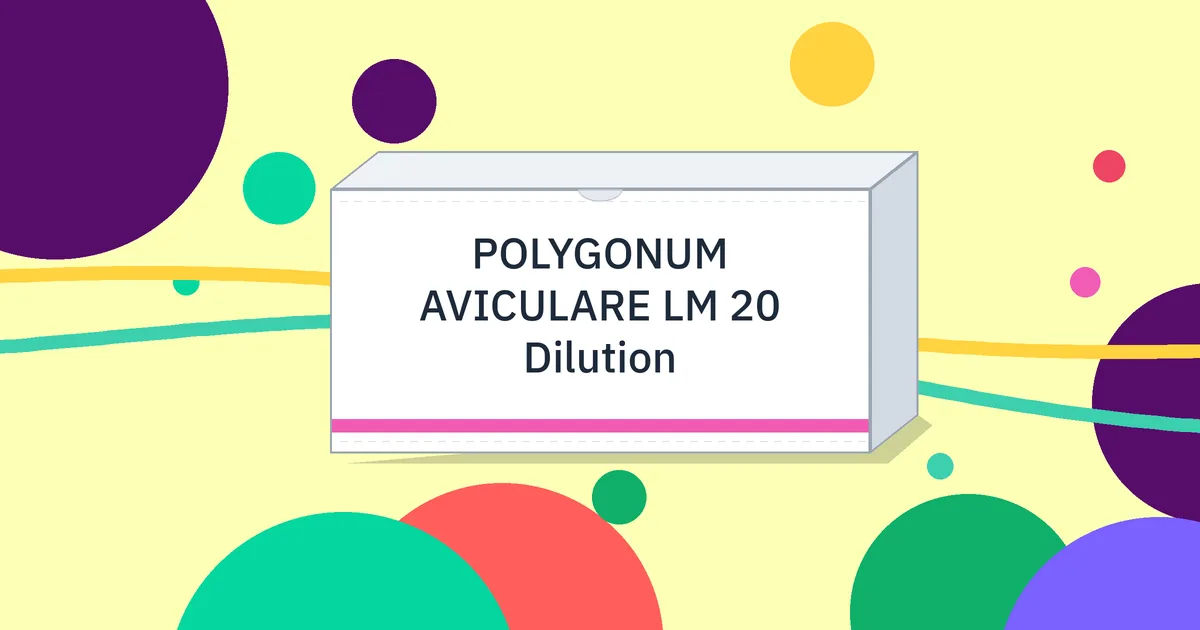 Symbolbild: Packung mit der Aufschrift POLYGONUM AVICULARE LM 20 Dilution (PZN 13662056) – Verfügbarkeit und Bezug in Apotheken in Frankfurt am Main