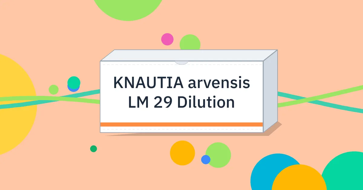 Symbolbild: Packung mit der Aufschrift KNAUTIA arvensis LM 29 Dilution (PZN 13519198) – Verfügbarkeit und Bezug in Apotheken in Frankfurt am Main