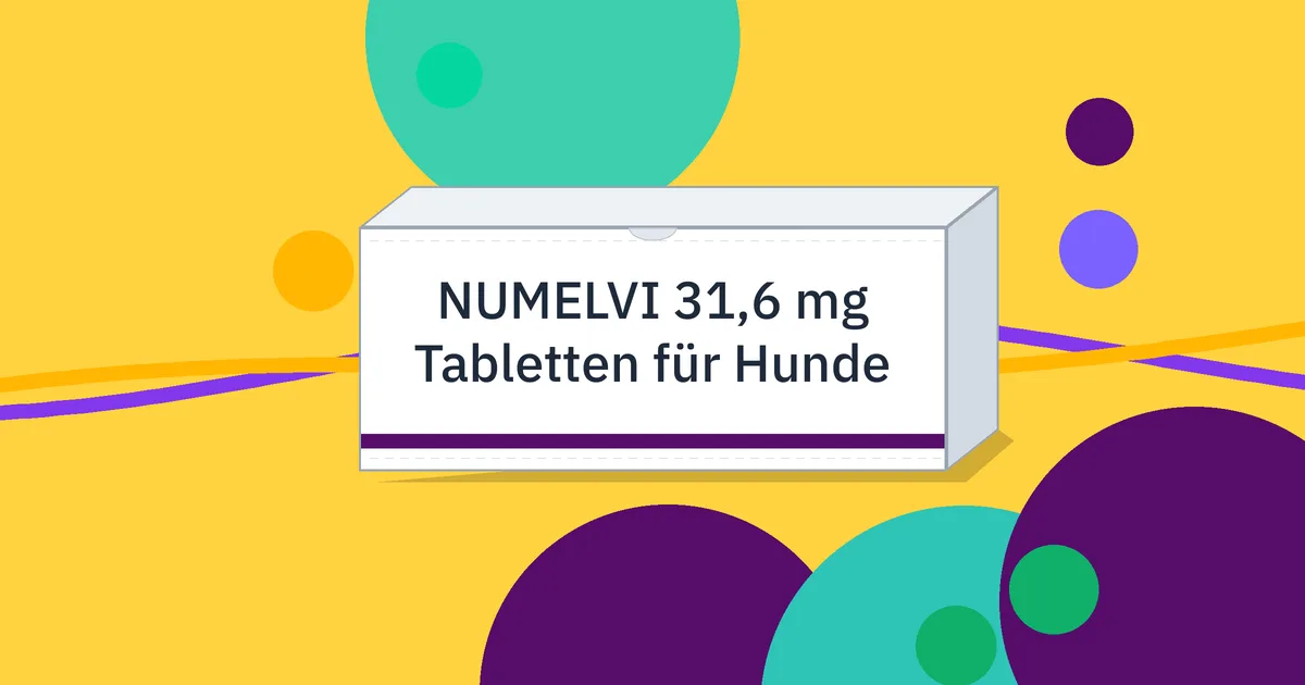Symbolbild: Packung mit der Aufschrift NUMELVI 31,6 mg Tabletten für Hunde (PZN 20098716) – Verfügbarkeit und Bezug in Apotheken in Frankfurt am Main