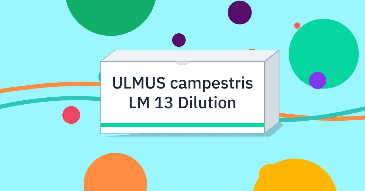 Symbolbild: Packung mit der Aufschrift ULMUS campestris LM 13 Dilution (PZN 13255316) – Verfügbarkeit und Bezug in Apotheken in Frankfurt am Main