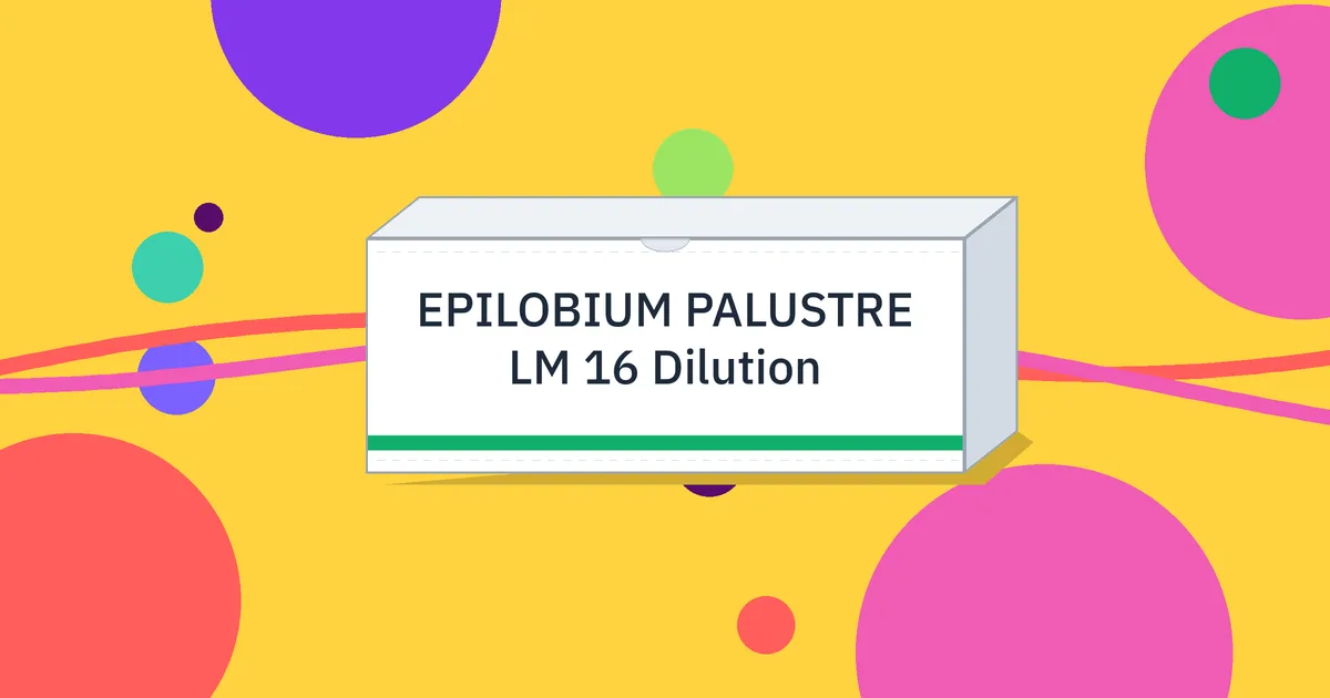 Symbolbild: Packung mit der Aufschrift EPILOBIUM PALUSTRE LM 16 Dilution (PZN 13472143) – Verfügbarkeit und Bezug in Apotheken in Frankfurt am Main