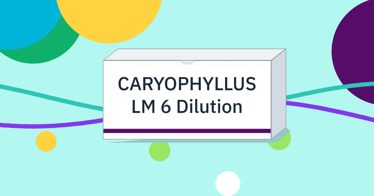Symbolbild: Packung mit der Aufschrift CARYOPHYLLUS LM 6 Dilution (PZN 13431871) – Verfügbarkeit und Bezug in Apotheken in Frankfurt am Main