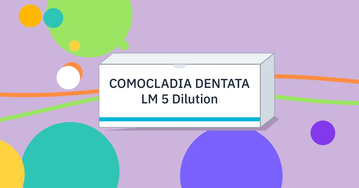 Symbolbild: Packung mit der Aufschrift COMOCLADIA DENTATA LM 5 Dilution (PZN 13449138) – Verfügbarkeit und Bezug in Apotheken in Frankfurt am Main