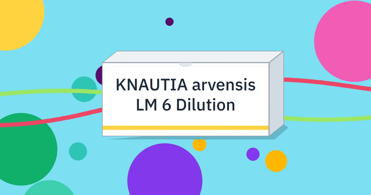 Symbolbild: Packung mit der Aufschrift KNAUTIA arvensis LM 6 Dilution (PZN 13518891) – Verfügbarkeit und Bezug in Apotheken in Frankfurt am Main