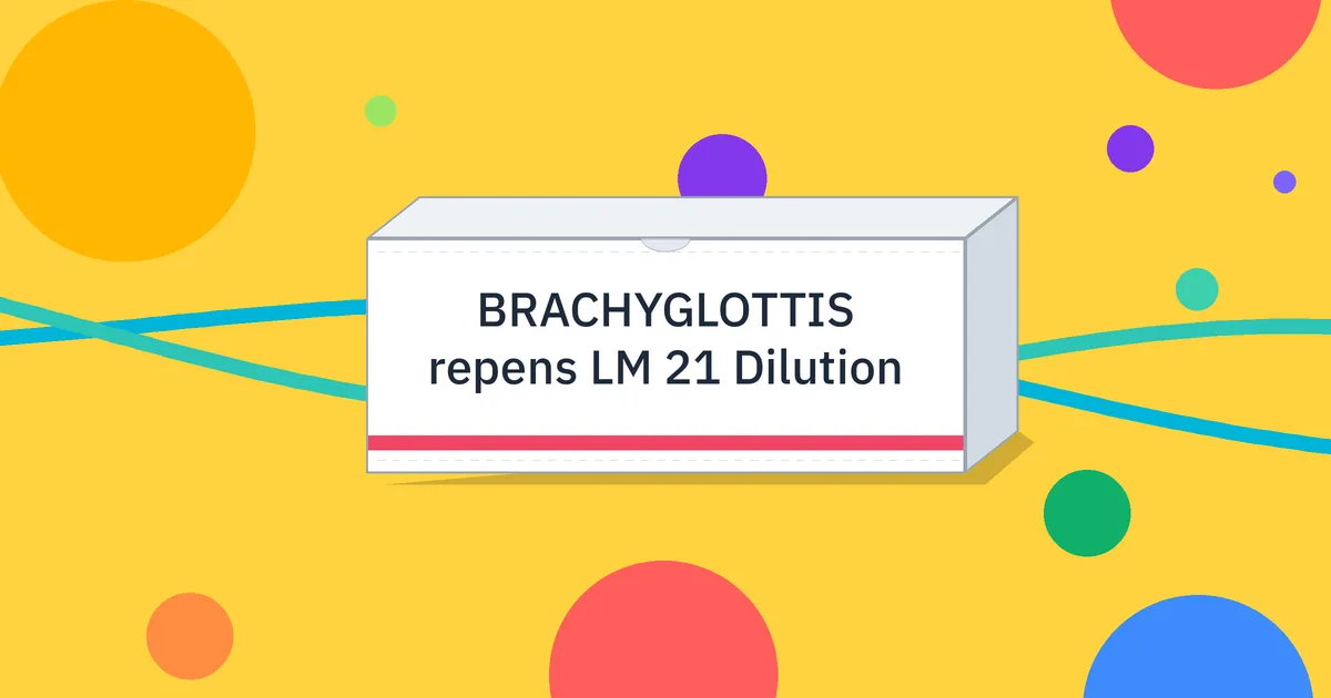 Symbolbild: Packung mit der Aufschrift BRACHYGLOTTIS repens LM 21 Dilution (PZN 13395081) – Verfügbarkeit und Bezug in Apotheken in Frankfurt am Main
