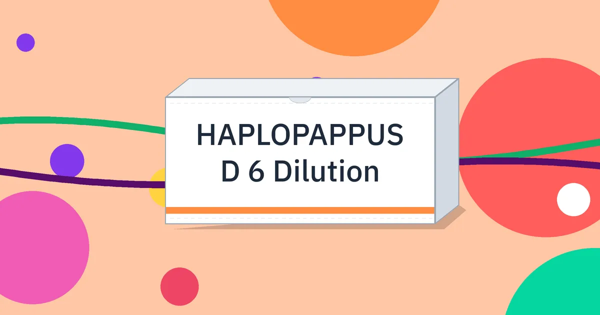 Symbolbild: Packung mit der Aufschrift HAPLOPAPPUS D 6 Dilution (PZN 02924085) – Verfügbarkeit und Bezug in Apotheken in Frankfurt am Main