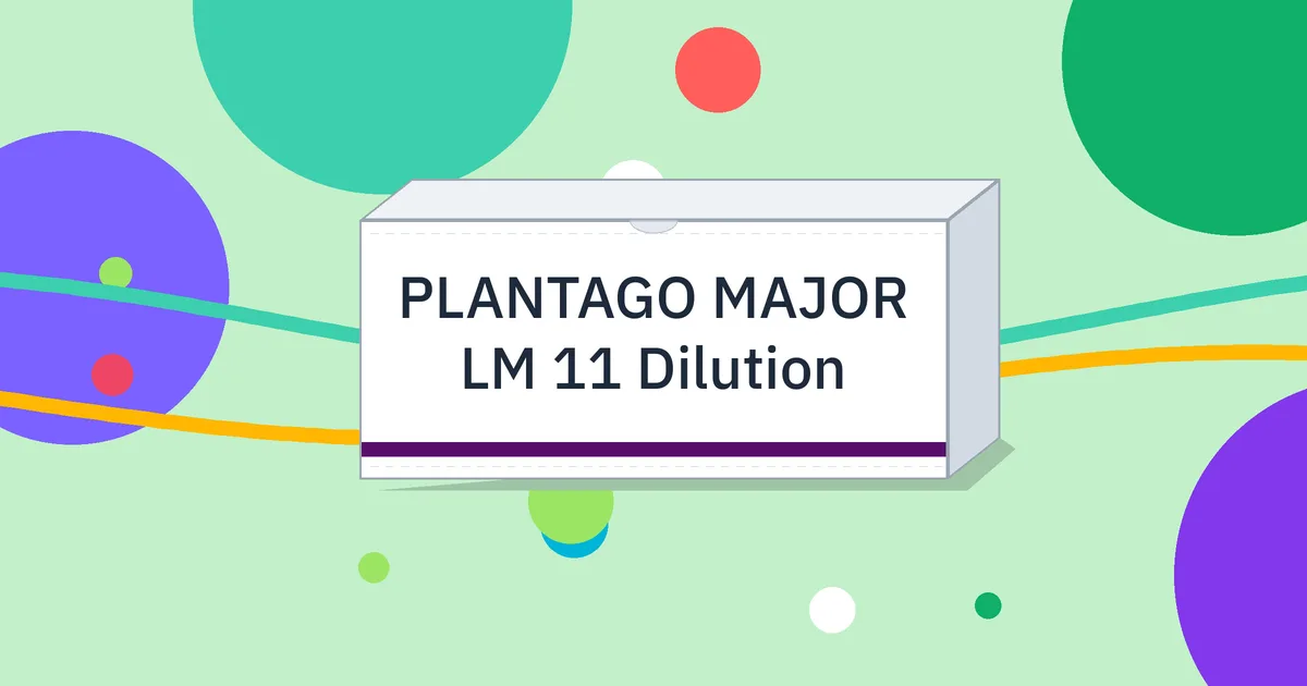 Symbolbild: Packung mit der Aufschrift PLANTAGO MAJOR LM 11 Dilution (PZN 13646695) – Verfügbarkeit und Bezug in Apotheken in Frankfurt am Main