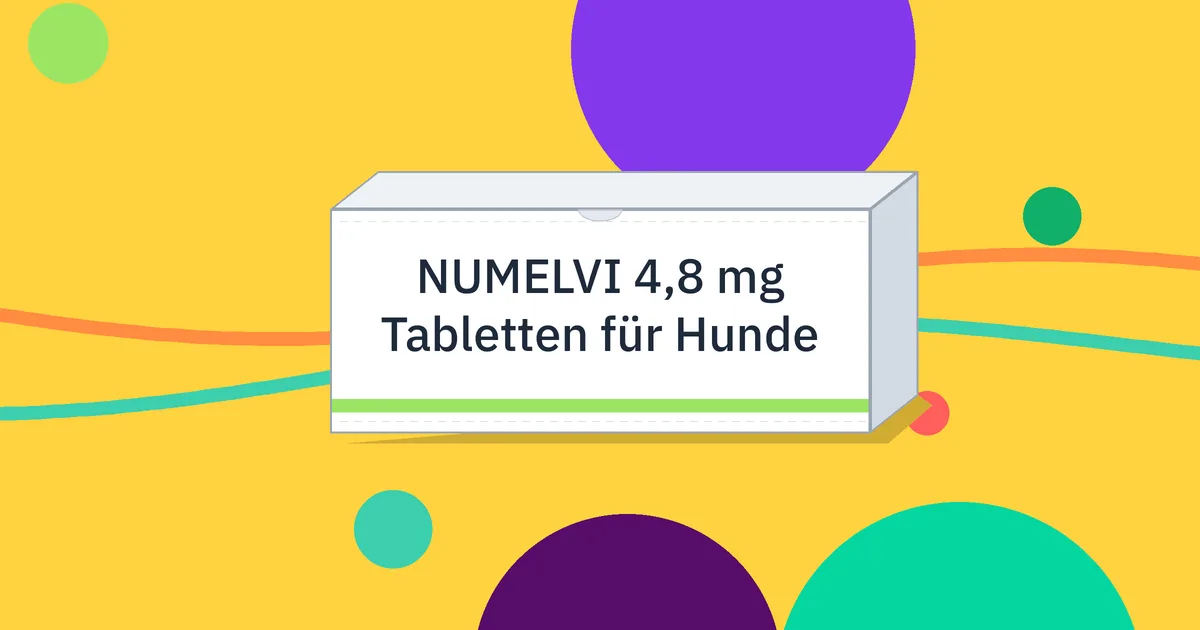 Symbolbild: Packung mit der Aufschrift NUMELVI 4,8 mg Tabletten für Hunde (PZN 20098633) – Verfügbarkeit und Bezug in Apotheken in Frankfurt am Main
