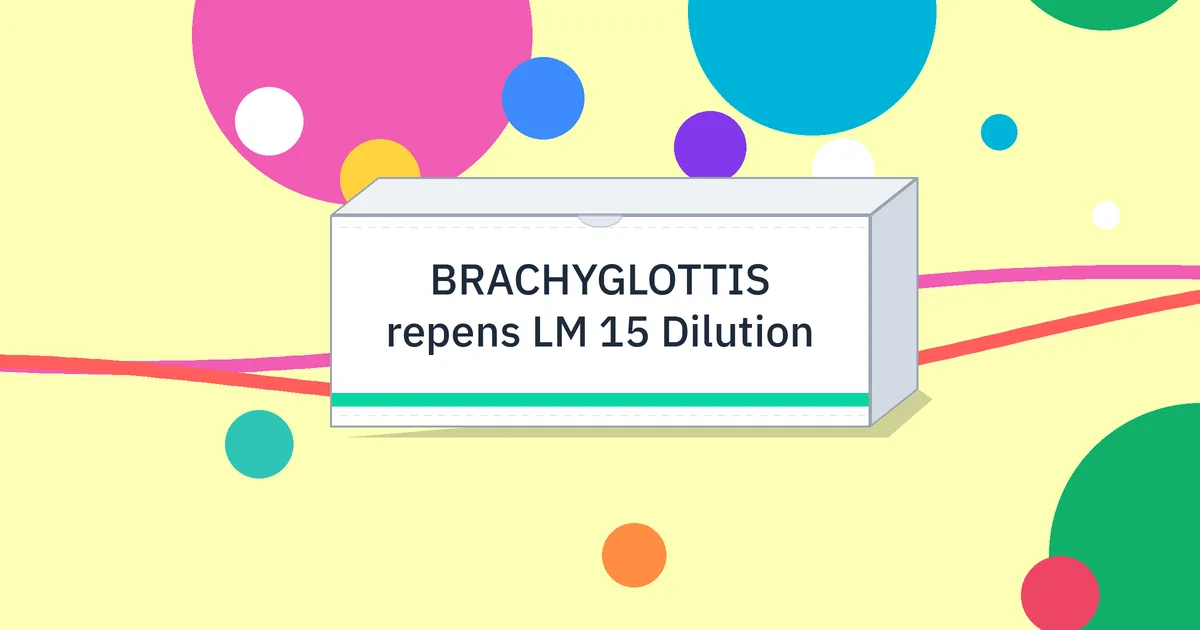 Symbolbild: Packung mit der Aufschrift BRACHYGLOTTIS repens LM 15 Dilution (PZN 13394940) – Verfügbarkeit und Bezug in Apotheken in Frankfurt am Main