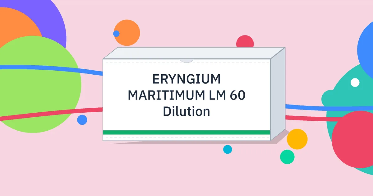 Symbolbild: Packung mit der Aufschrift ERYNGIUM MARITIMUM LM 60 Dilution (PZN 13479263) – Verfügbarkeit und Bezug in Apotheken in Frankfurt am Main