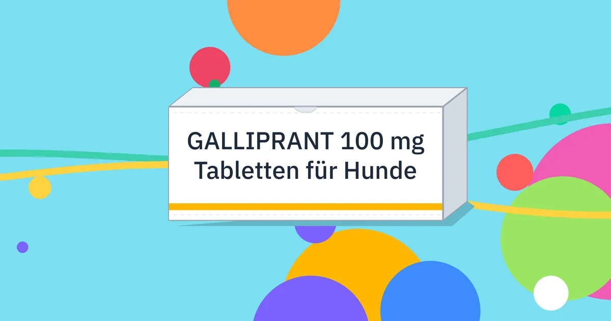 Symbolbild: Packung mit der Aufschrift GALLIPRANT 100 mg Tabletten für Hunde (PZN 16165654) – Verfügbarkeit und Bezug in Apotheken in Frankfurt am Main