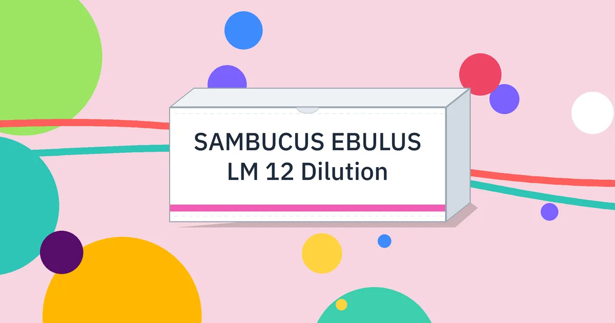 Symbolbild: Packung mit der Aufschrift SAMBUCUS EBULUS LM 12 Dilution (PZN 13180446) – Verfügbarkeit und Bezug in Apotheken in Frankfurt am Main