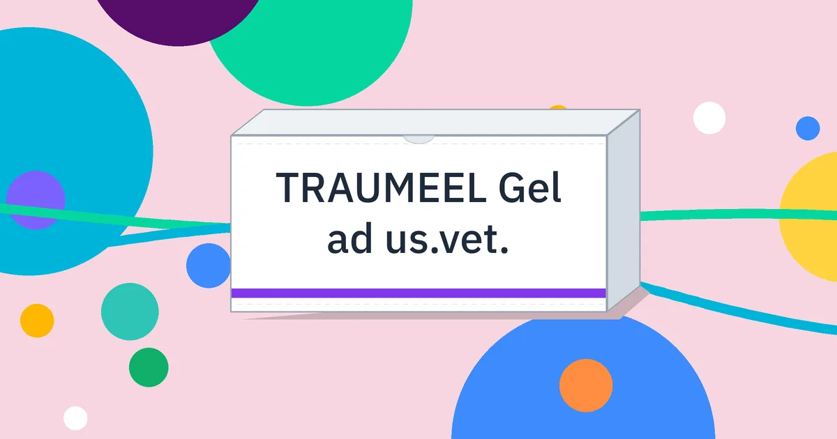 Symbolbild: Packung mit der Aufschrift TRAUMEEL Gel ad us.vet. (PZN 00833912) – Verfügbarkeit und Bezug in Apotheken in Frankfurt am Main