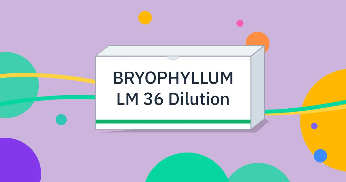 Symbolbild: Packung mit der Aufschrift BRYOPHYLLUM LM 36 Dilution (PZN 13397832) – Verfügbarkeit und Bezug in Apotheken in Frankfurt am Main