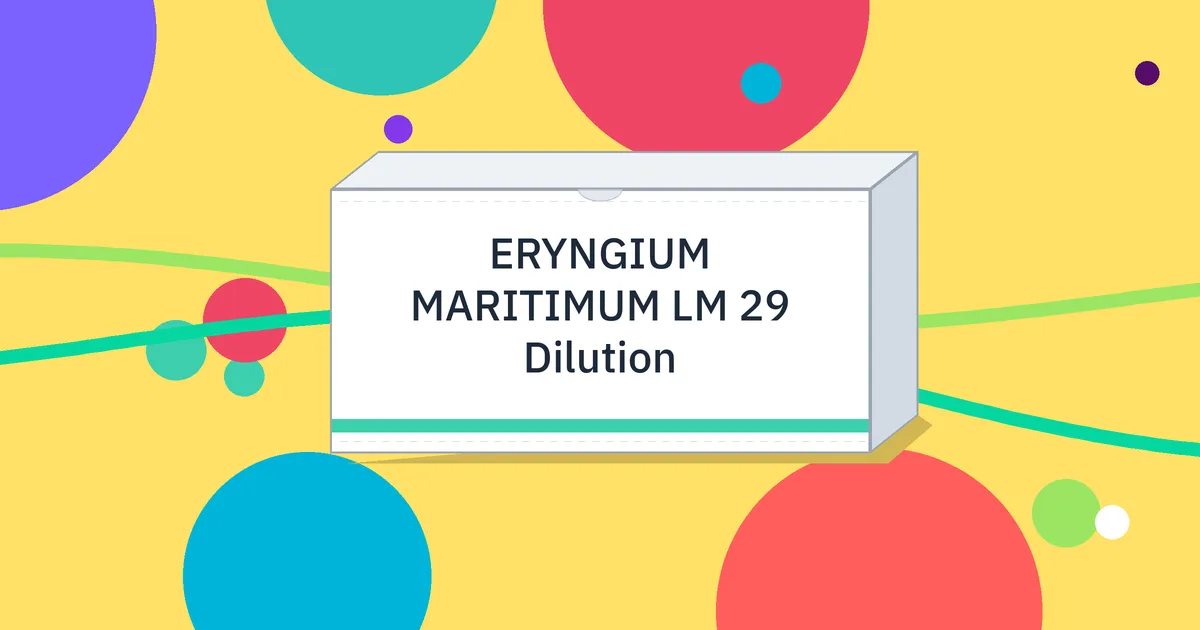 Symbolbild: Packung mit der Aufschrift ERYNGIUM MARITIMUM LM 29 Dilution (PZN 13479228) – Verfügbarkeit und Bezug in Apotheken in Frankfurt am Main