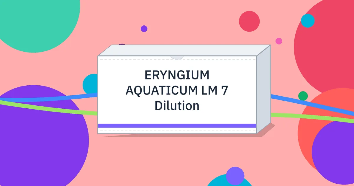 Symbolbild: Packung mit der Aufschrift ERYNGIUM AQUATICUM LM 7 Dilution (PZN 13478507) – Verfügbarkeit und Bezug in Apotheken in Frankfurt am Main