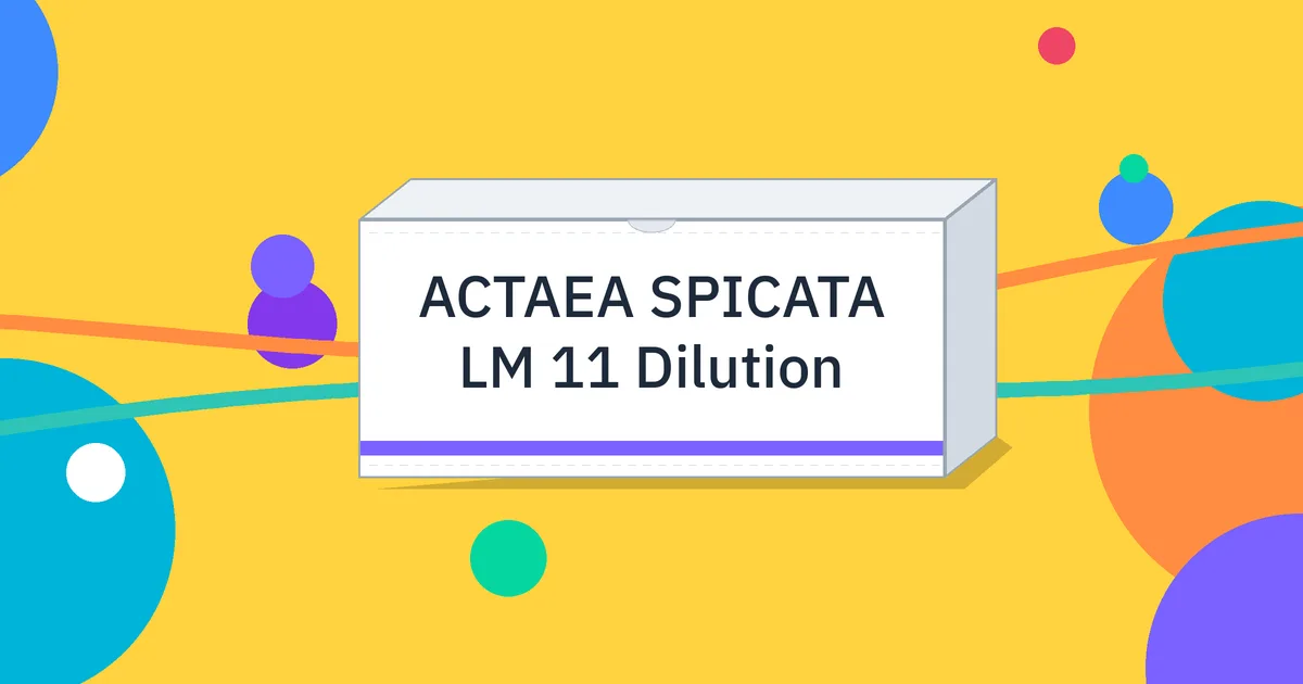 Symbolbild: Packung mit der Aufschrift ACTAEA SPICATA LM 11 Dilution (PZN 13293498) – Verfügbarkeit und Bezug in Apotheken in Frankfurt am Main