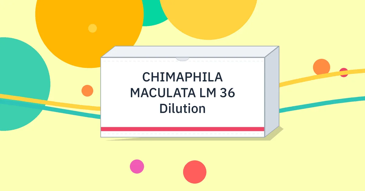 Symbolbild: Packung mit der Aufschrift CHIMAPHILA MACULATA LM 36 Dilution (PZN 13442001) – Verfügbarkeit und Bezug in Apotheken in Frankfurt am Main